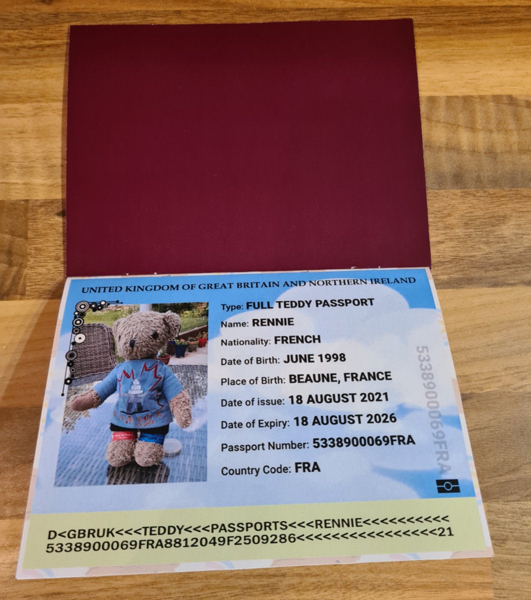 Toy Passport - Personalised Toy Passport with photo, name, nationality ...