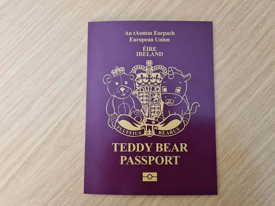Irish Teddy Bear Passport - Personalised with photo, name, nationality ...